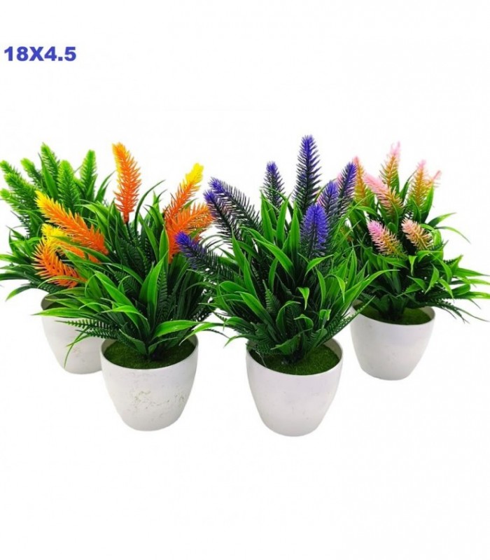 PLANTA C-PLANTERA 18X4.5CM 5COLOR 131194